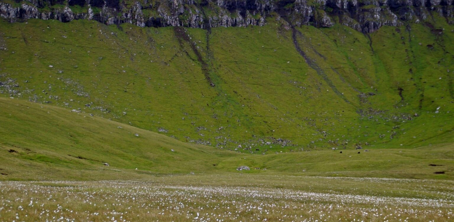 Gjógv | Guide to Faroe Islands : Guide to Faroe Islands