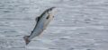 Sports Fishing in Faroe Islands | Guide to Faroe Islands