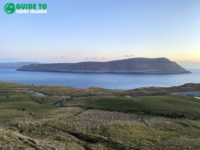 Hestur Island Travel Guide | Guide to Faroe Islands