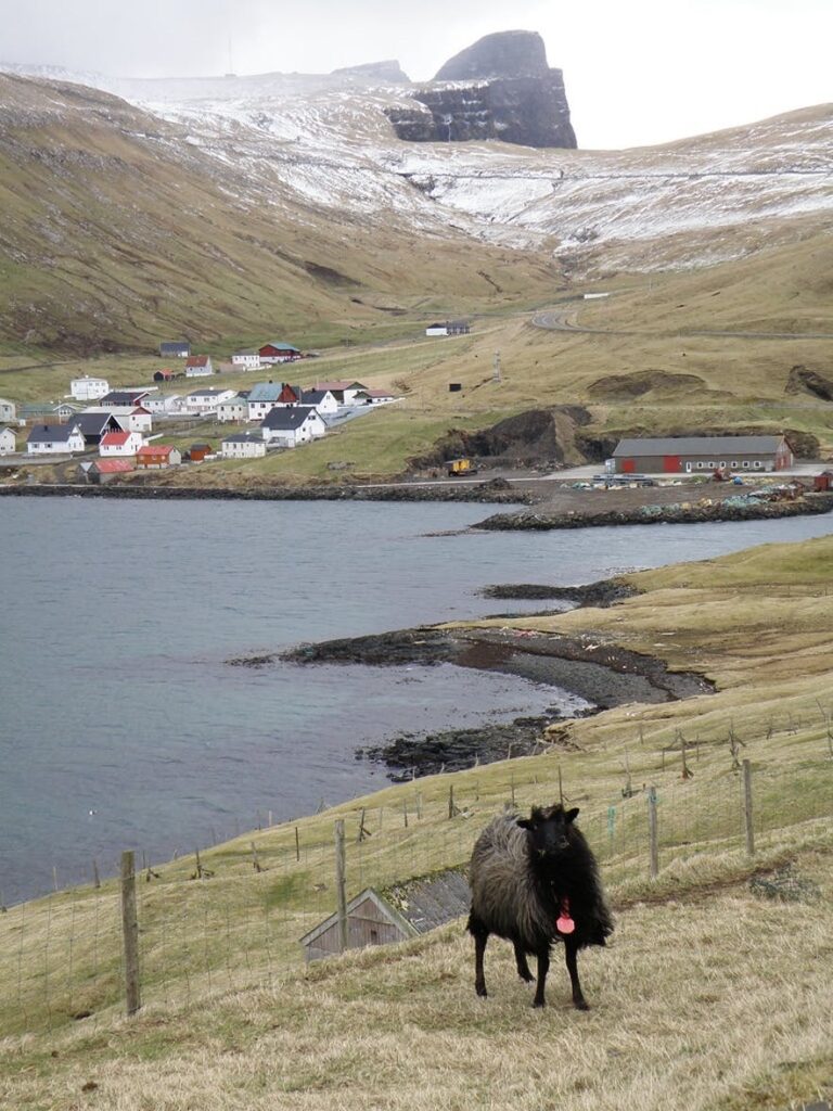 Leitisvatn • Floating Lake | Guide to Faroe Islands