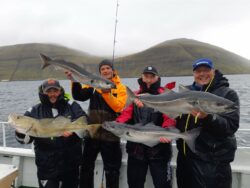 Sports Fishing in Faroe Islands | Guide to Faroe Islands