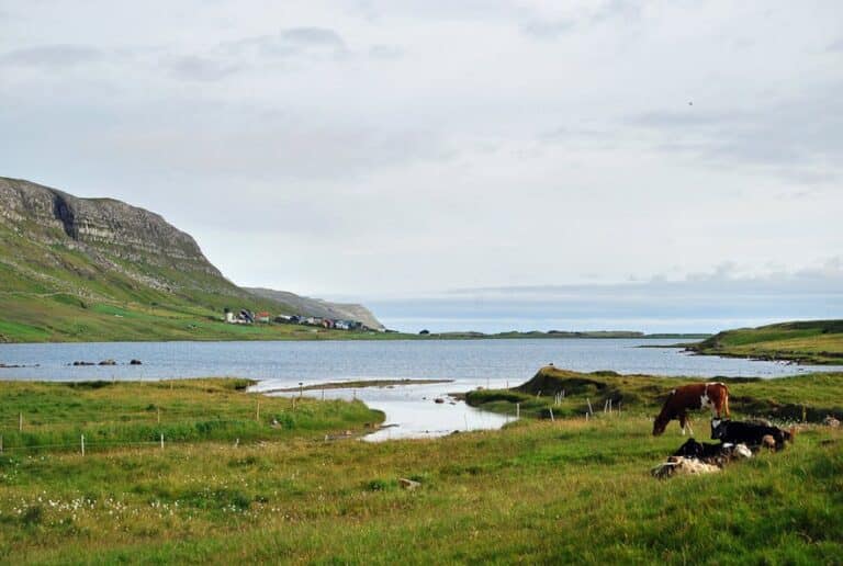 Runavik | Guide to Faroe Islands : Guide to Faroe Islands