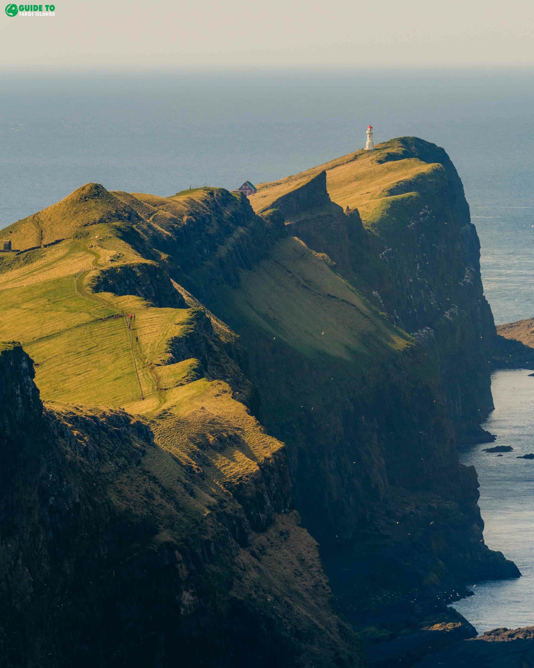 The Untamed Spirit of Faer Isles Distillery | Guide to Faroe Islands