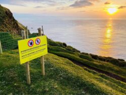 Mykines • Complete Puffin Island Guide | Guide to Faroe Islands