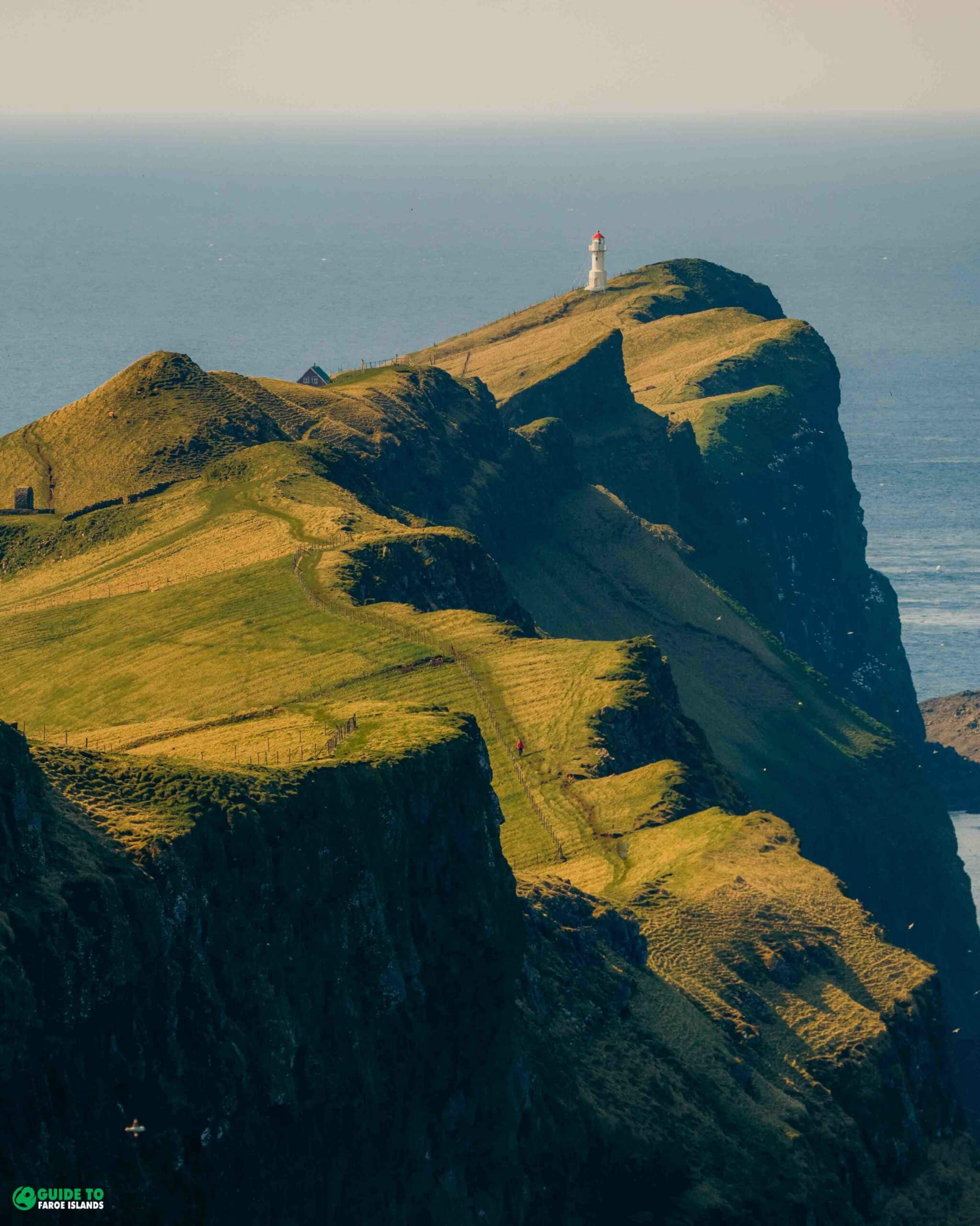 Your Complete Faroe Islands Food Culture Guide | Guide to Faroe Islands