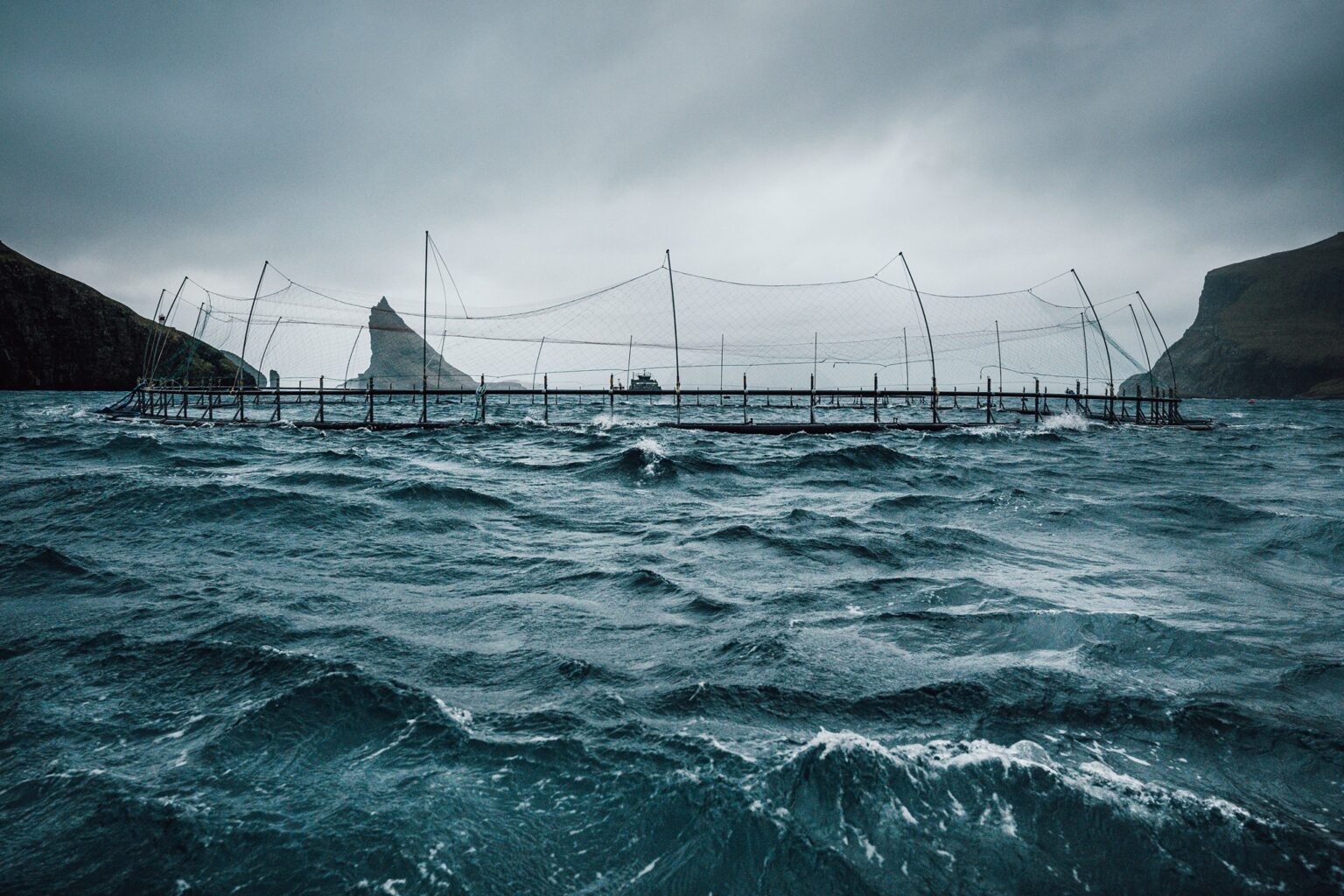 The Faroe Island Salmon Success | Guide to Faroe Islands