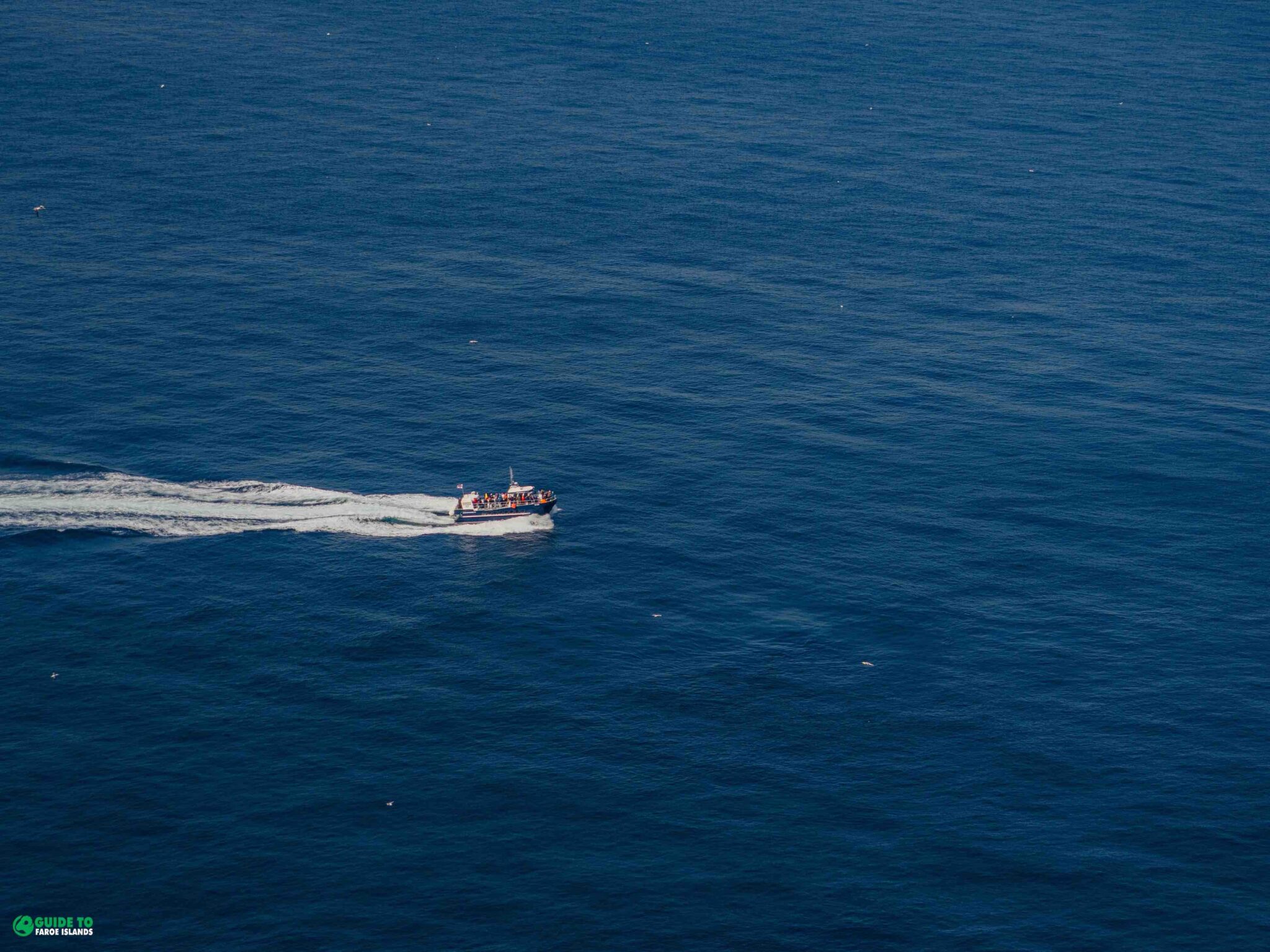 Mykines • Complete Puffin Island Guide | Guide to Faroe Islands