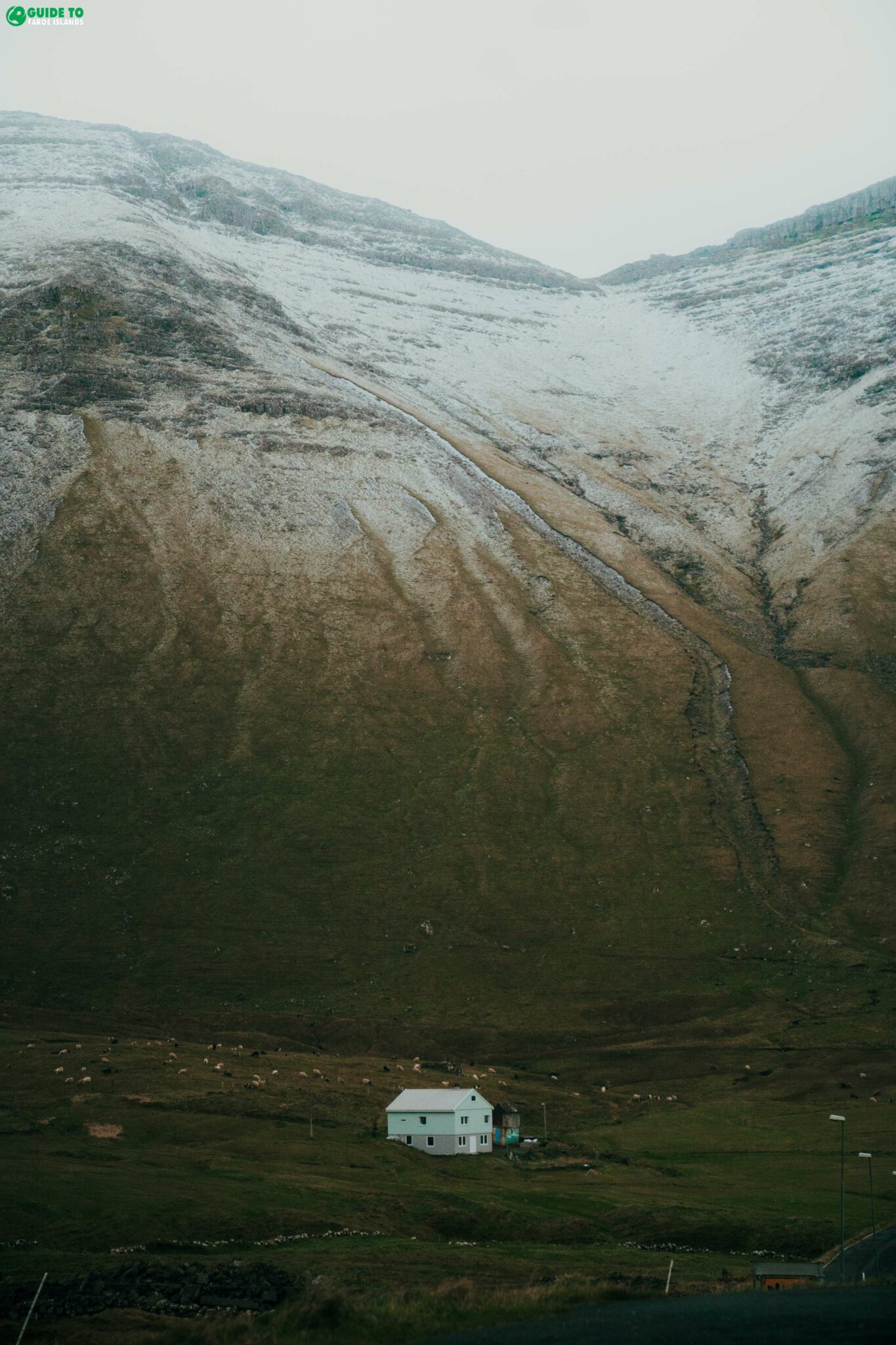 Faroe Islands Language - A Love Story | Guide to Faroe Islands