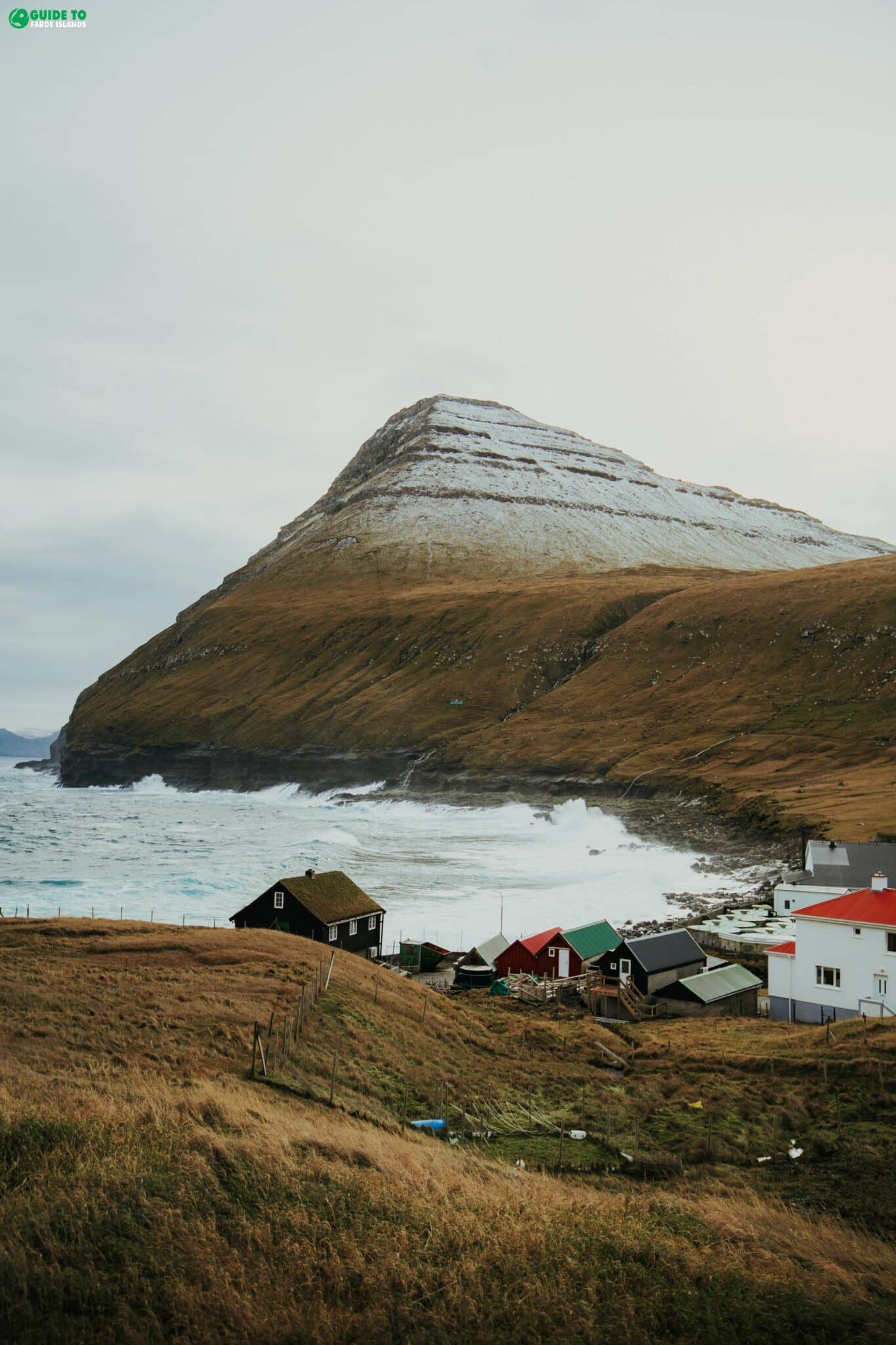 Your Complete Faroe Islands Food Culture Guide | Guide to Faroe Islands